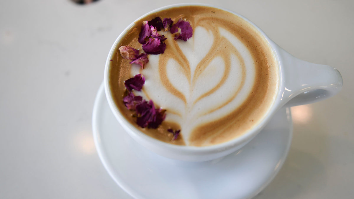 Coffee in Moderation - A Simple Step to Better Health – Lux Cafe Club