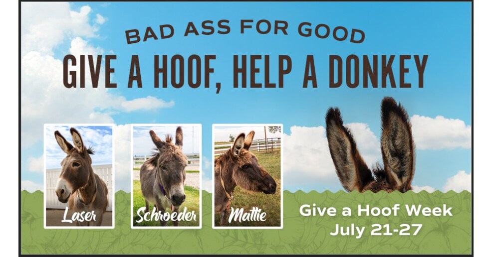 Fueling Good Vibes with Every Sip - Support Donkey Rescue Efforts – Lux ...