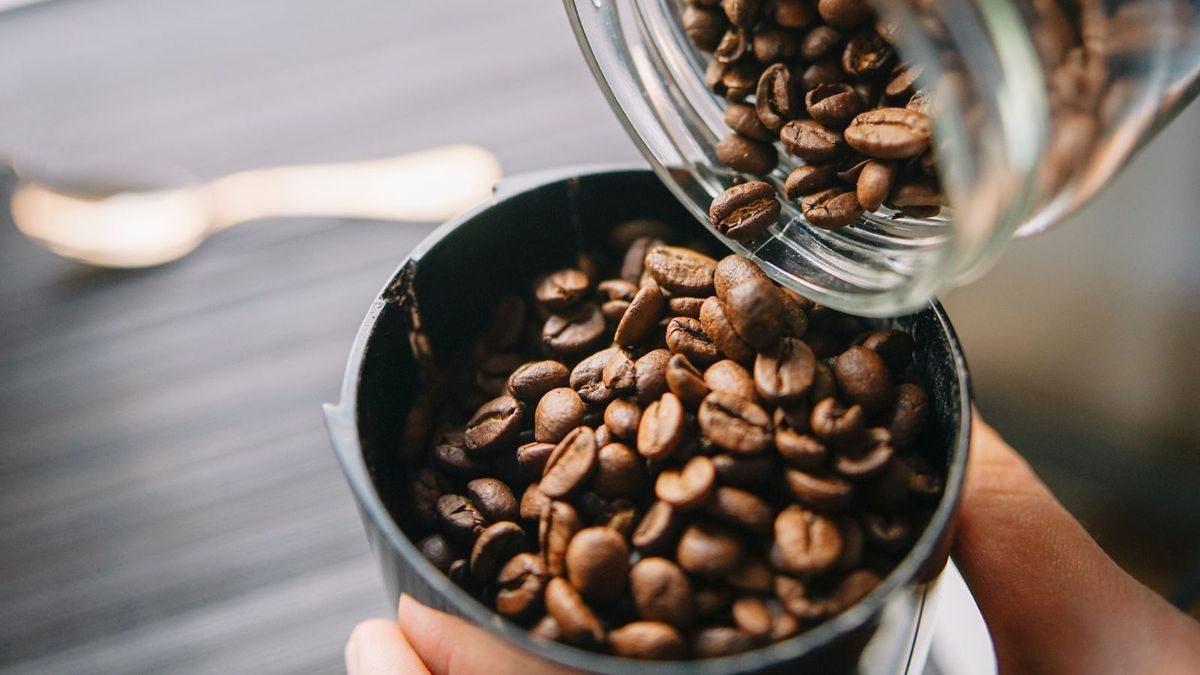 Unlock the Secret to Fresher Coffee - Bean Storage Tips – Lux Cafe Club