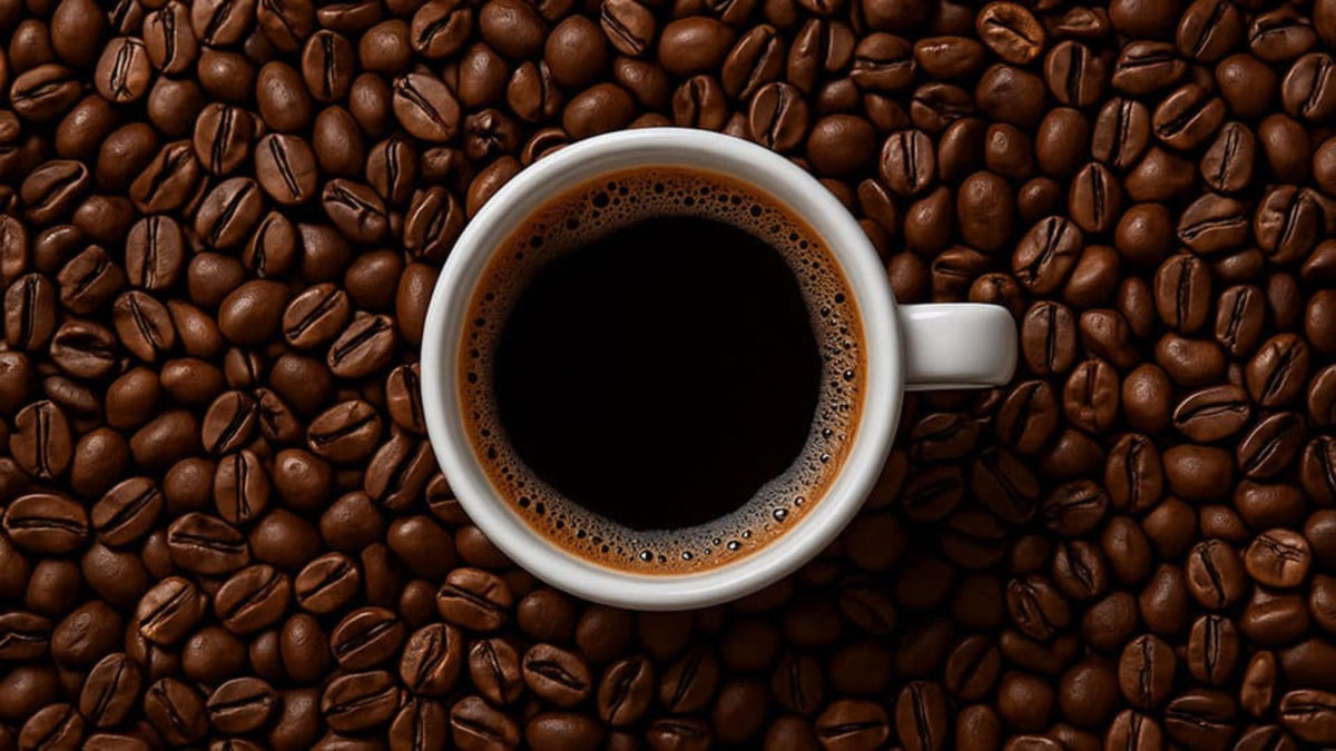Coffee Waste - A Sustainable Solution for Water Pollution – Lux Cafe Club