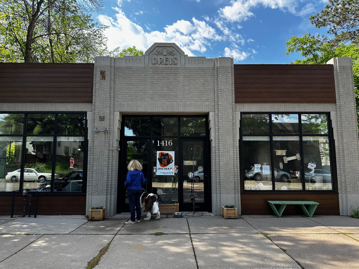 Catzen Coffee Bar & Den: Where Coffee and Cats Coalesce in Cozy Harmon ...