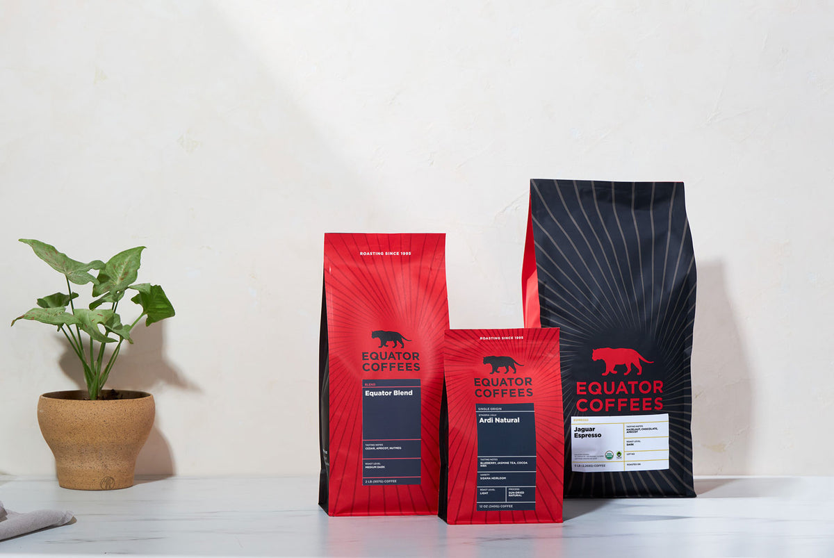 Equator Coffee’s New Look - A Subtle Design Revolution – Lux Cafe Club