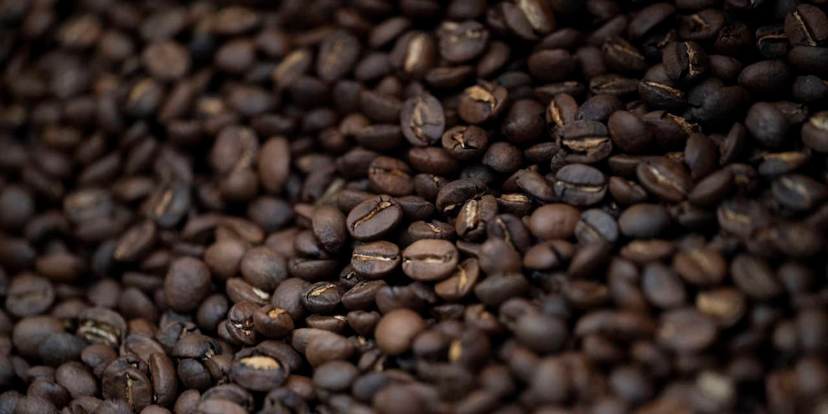Synthetic Coffee vs. Nature - Farmers Fight Climate Change – Lux Cafe Club